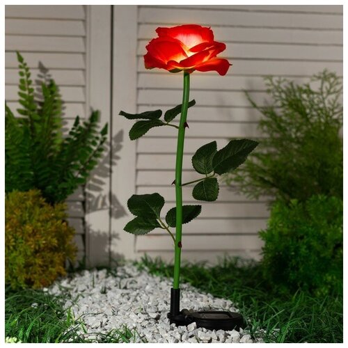 Фонарь садовый на солнечной батарее "Роза красная" 75 см, 1 LED, белый