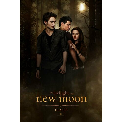 Плакат, постер на холсте Twilight/Сумерки. Размер 21х30 см