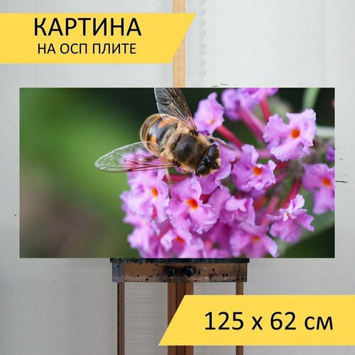 Картина на ОСП 125х62 см. "Пчела, насекомое, природа" горизонтальная, для интерьера, с креплениями