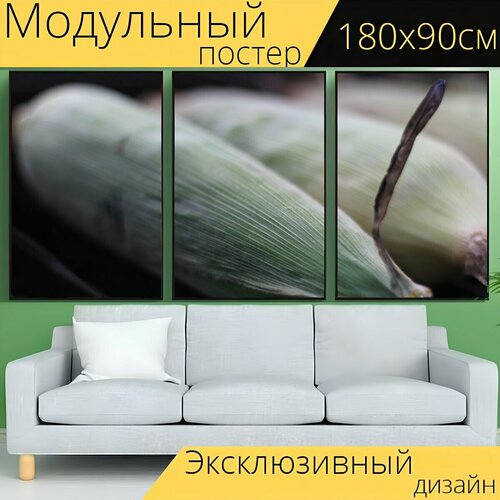 Модульный постер "Кукуруза, зеленый, сельское хозяйство" 180 x 90 см. для интерьера