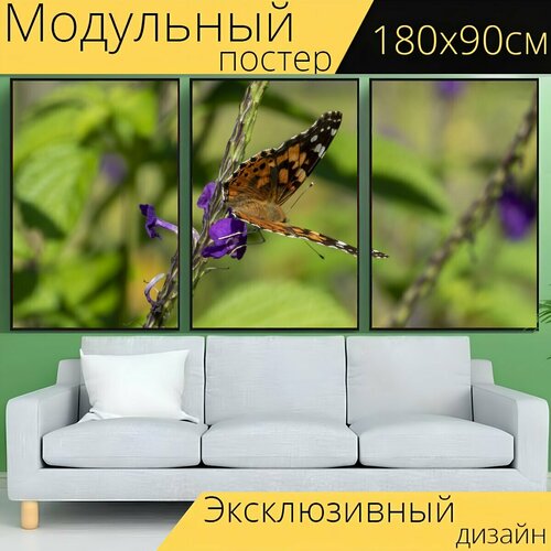 Модульный постер "Бабочка, крылья, насекомое" 180 x 90 см. для интерьера