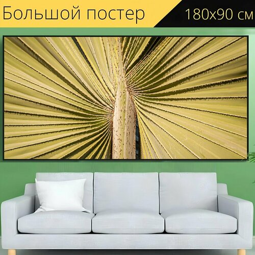 Большой постер "Пальма, пальмовые листья, деталь" 180 x 90 см. для интерьера