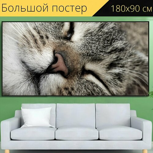 Большой постер "Кот, нос, животное" 180 x 90 см. для интерьера