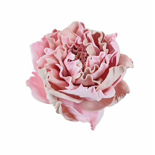 Цветок заколка брошь роза кремово-коралловая арт184719м