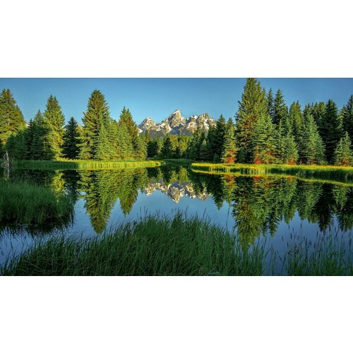 Картина на холсте 60x110 LinxOne "Зелень горы отражение Wyoming" интерьерная для дома / на стену / на кухню / с подрамником