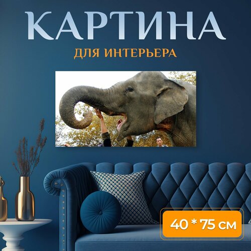 Картина на холсте "Слон, животное, естественный" на подрамнике 75х40 см. для интерьера