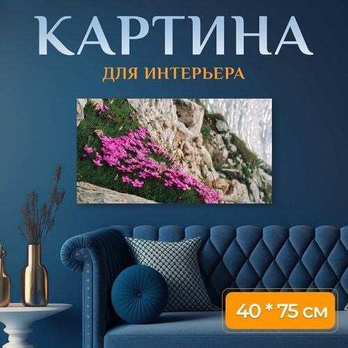 Картина на холсте "Гора, цветочный луг, цветок" на подрамнике 75х40 см. для интерьера