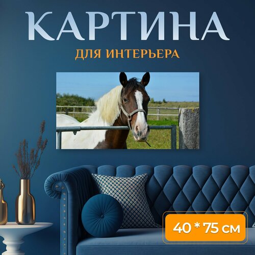 Картина на холсте "Лошадь, конюшня для верховой езды, езда на лошади" на подрамнике 75х40 см. для интерьера