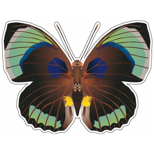 Наклейка декоративная Бабочка 12x9 см