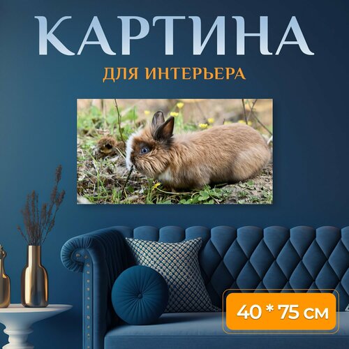 Картина на холсте "Кролик, кролик карликовый, травоядный" на подрамнике 75х40 см. для интерьера