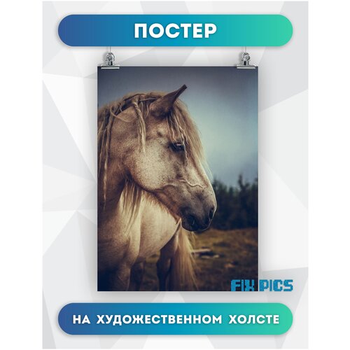 Постер на холсте Лошади конь лошадка (3) 40х60 см