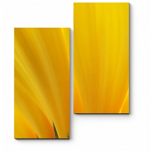 Модульная картина Желтые лепестки 50x63