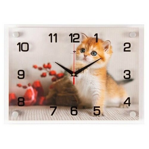 Часы настенные, интерьерные "Золотой котенок", бесшумные, 25 х 35 см (комплект из 2 шт)