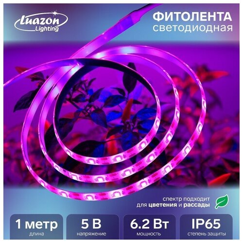 Фитолента светодиодная Luazon, 5 В, SMD5050, 1 м, IP65, 6.2 Вт, 60 LED/м, дим, USB