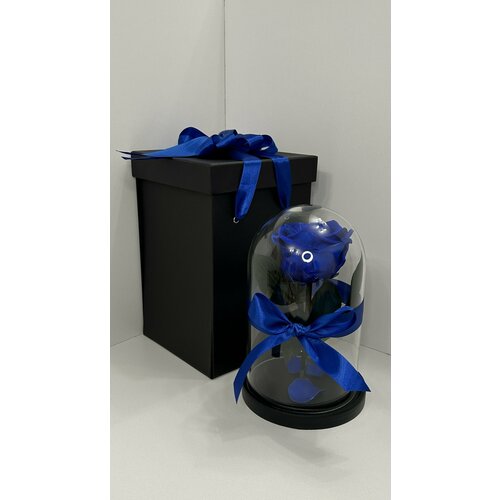 "Живая роза Mini" в колбе синий цвет 21х10 см подарочная коробка, стабилизированный цветок, подарок любимой, день рождения