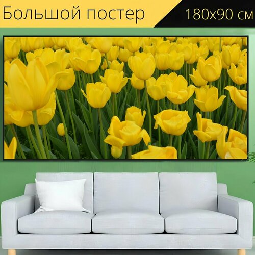Большой постер "Тюльпан, цветок, сад" 180 x 90 см. для интерьера