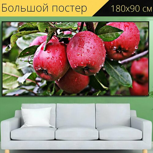 Большой постер "Яблоко, фрукты, здоровый" 180 x 90 см. для интерьера