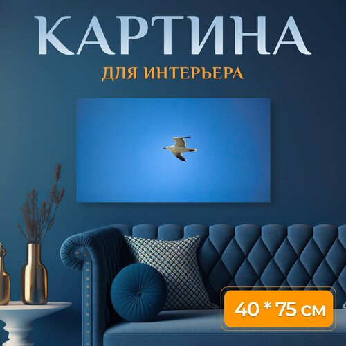 Картина на холсте "Чайка, небо, голубое небо" на подрамнике 75х40 см. для интерьера