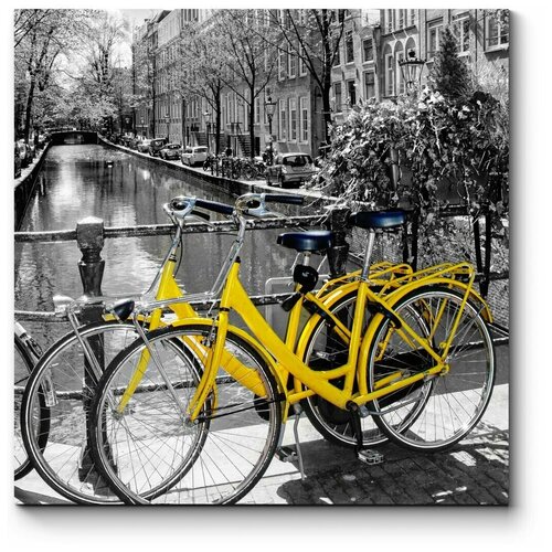 Модульная картина Любимый транспорт амстердамцев 30x30