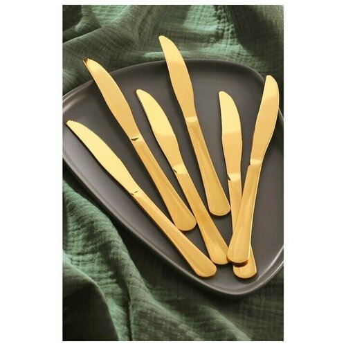 Ножи столовые Доляна «Голд», длина 23,5 см, 6 шт, цвет золотой