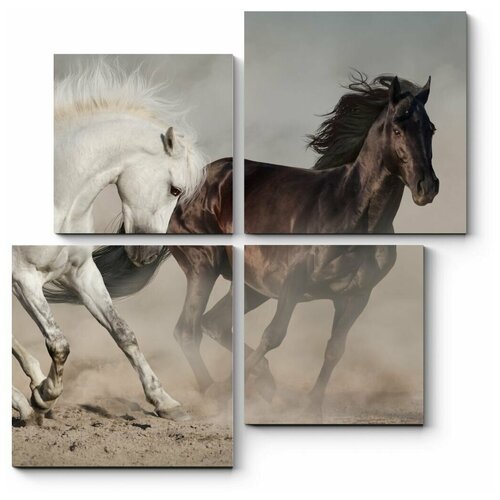 Модульная картина Красивая пара лошадей60x60
