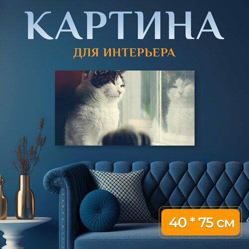 Картина на холсте "Окно, кошка, животные" на подрамнике 75х40 см. для интерьера