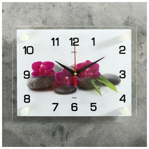 Рубин Часы настенные, серия: Цветы, "Цветки на камнях", 20х26 см микс