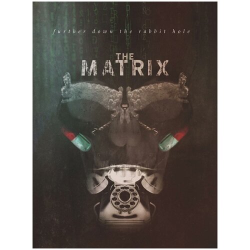 Постер / Плакат / Картина Матрица 40х50 см в подарочном тубусе