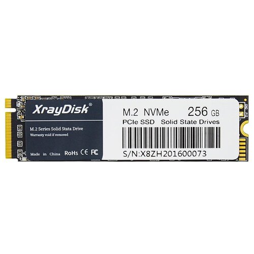 Твердотельный накопитель XrayDisk 256 ГБ M.2 XNV256AEYXC