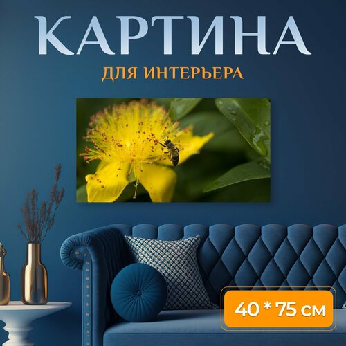 Картина на холсте "Пчела, цветок, цвести" на подрамнике 75х40 см. для интерьера