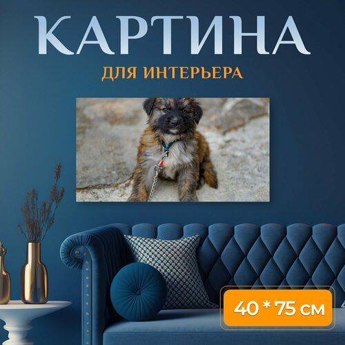 Картина на холсте "Щенок, собачий, домашний питомец" на подрамнике 75х40 см. для интерьера
