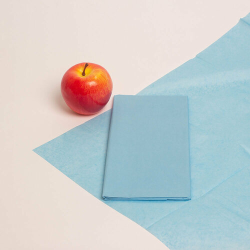 Бумага упаковочная тишью голубая в листах 50 х 65см х 10шт - 1шт.
