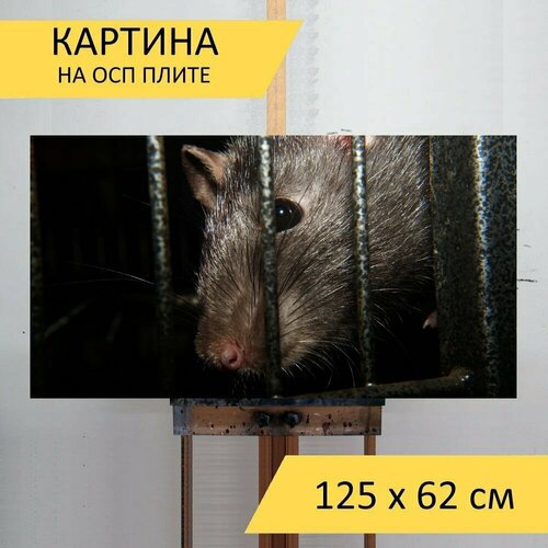 Картина на ОСП 125х62 см. "Крыса, грызун, голова" горизонтальная, для интерьера, с креплениями