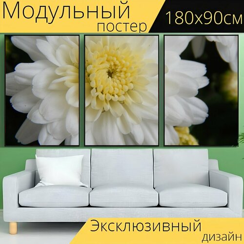 Модульный постер "Цветок, белый цветок, весна" 180 x 90 см. для интерьера