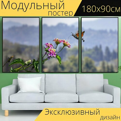 Модульный постер "Колибри бражник, насекомое, цветы" 180 x 90 см. для интерьера