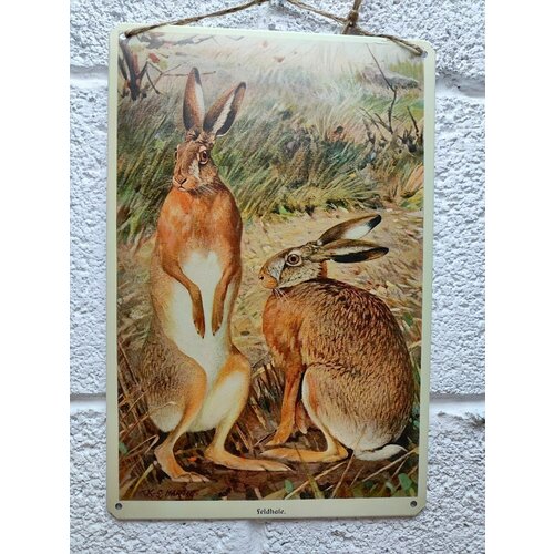 Зайцы, животные постер 20 на 30 см, шнур-подвес в подарок