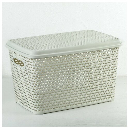 Ящик для хранения с крышкой «Ротанг», 23 л, 45×30×26,5 см, цвет белый