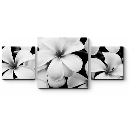 Модульная картина Лаконичные цветы 120x51