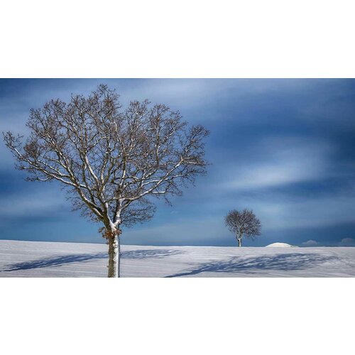 Картина на холсте 60x110 Альянс Лес "Небо снег деревья тень зима" на подрамнике / интерьер/ декор