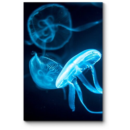 Модульная картина Неоновый танец медуз под водой 60x90