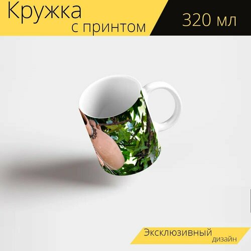 Кружка с рисунком, принтом "Глиняный кувшин, кувшин, листья" 320 мл.