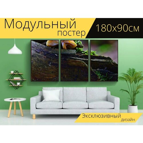 Модульный постер "Природа, лес, гриб" 180 x 90 см. для интерьера