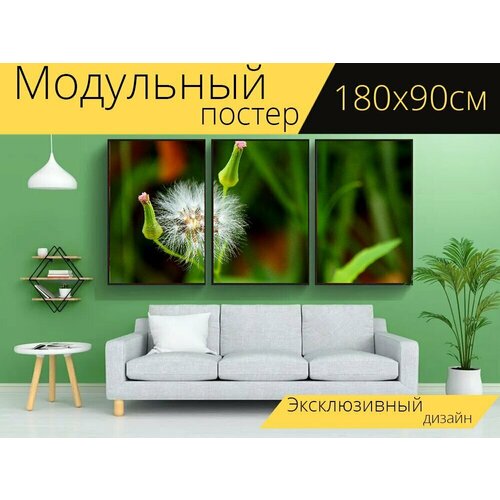 Модульный постер "Одуванчик, боке, полевой цветок" 180 x 90 см. для интерьера