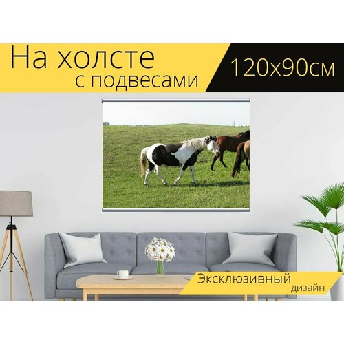 Картина на холсте "Лошадь, ранчо, пастбище" с подвесами 120х90 см. для интерьера