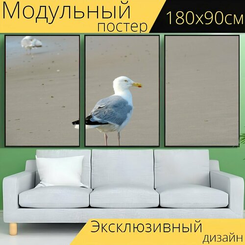 Модульный постер "Чайка, сельдь чайка, песок" 180 x 90 см. для интерьера