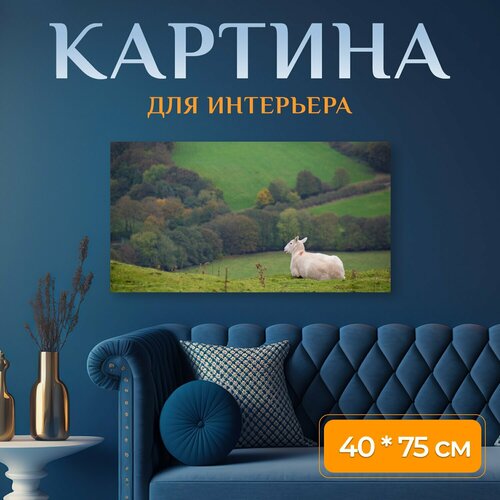 Картина на холсте "Овец, пейзаж, холм" на подрамнике 75х40 см. для интерьера