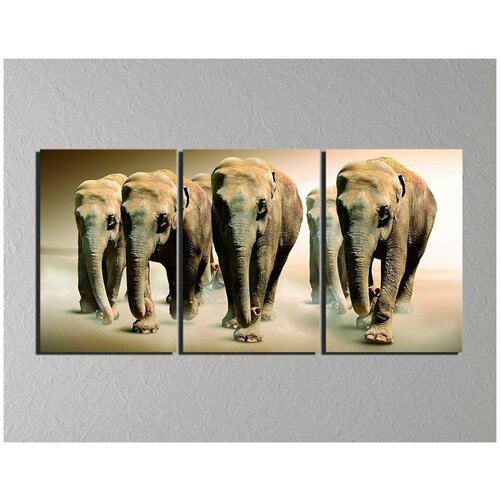 Модульная картина на Холсте - "Стая слонов", размер 120х80 см