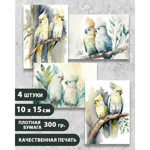 Набор открыток "Птицы Попугаи Какаду", 10.5 см х 15 см, 4 шт, InspirationTime, на подарок и в коллекцию