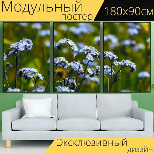 Модульный постер "Не забывай меня, полевые цветы, весна" 180 x 90 см. для интерьера
