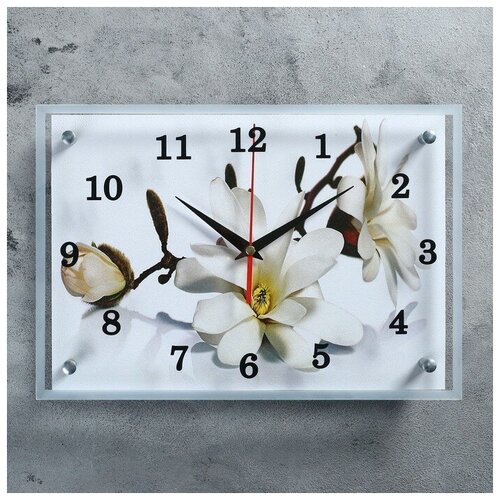 Часы настенные, серия: Цветы, "Орхидея", 25х35 см